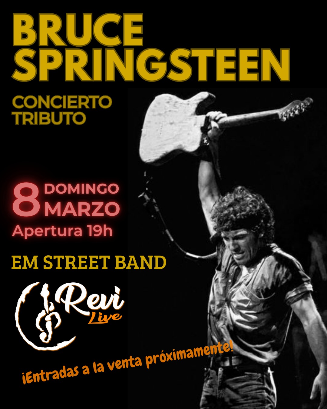 BRUCE SPRINGSTEEN – TRIBUTO – ReviLive